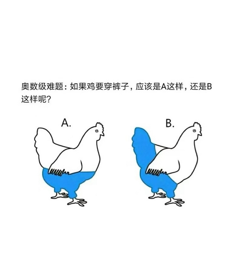 如果鸡要穿裤子，应该是a这样，还是b这样呢 宠物花草 重庆购物狂