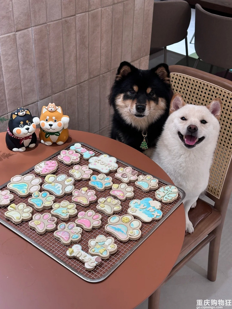 成都这家咖啡店有意思，有专门的停狗位-宠物花草-重庆购物狂