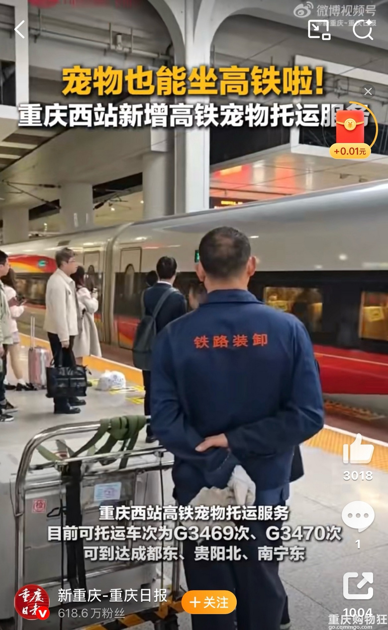 全市首次！重庆西站新增高铁宠物托运服务-重庆杂谈-重庆购物狂