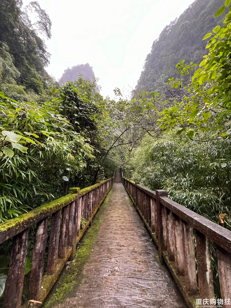 30元的徒步，感觉来到了仙境-游山玩水-重庆购物狂