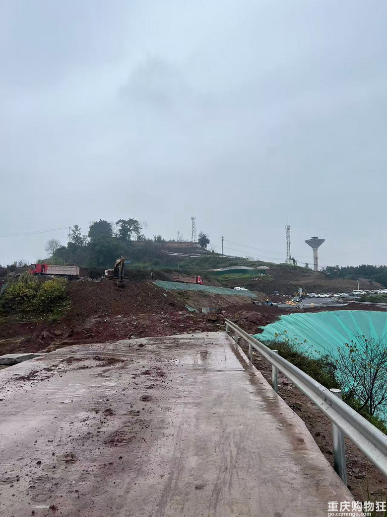 井双新区藏宝地！修路直通联中+嘉陵江公园-房产楼市-重庆购物狂