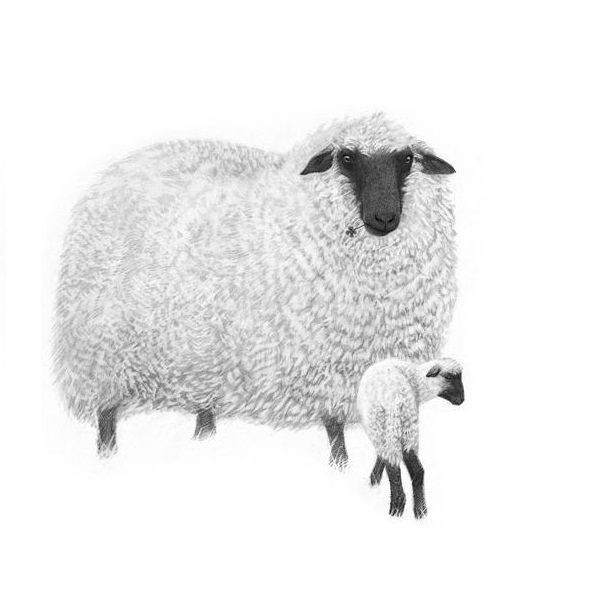 万物有灵且美 -19摄区-杭州19楼