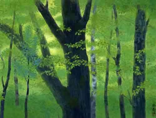 东山魁夷-手机随手拍-19摄区-杭州19楼