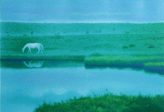 东山魁夷-手机随手拍-19摄区-杭州19楼