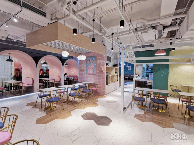 杭州宠物咖啡馆走红，除了猫咪、柯基还有小香猪都进店“揽客”！-咖啡话题-咖啡大教室-杭州19楼