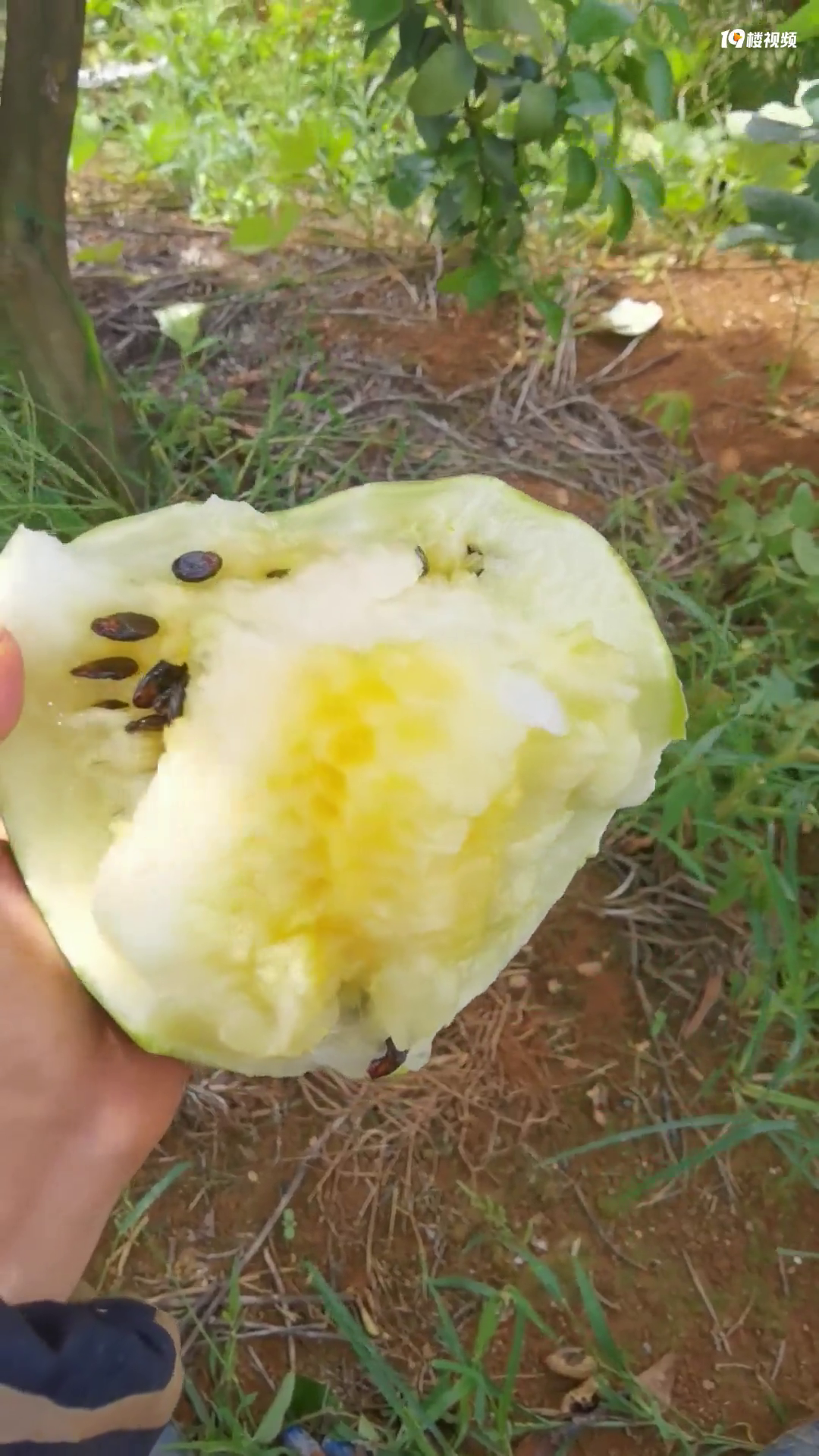 该帖被屏蔽-美食俱乐部-杭州19楼