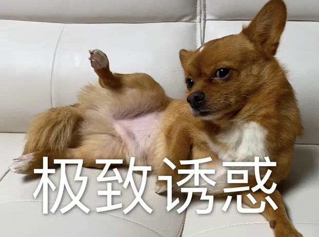 男子被狗咬后对女友失去了性趣…竟然吓阳痿了！-宠物讨论区-杭州19楼