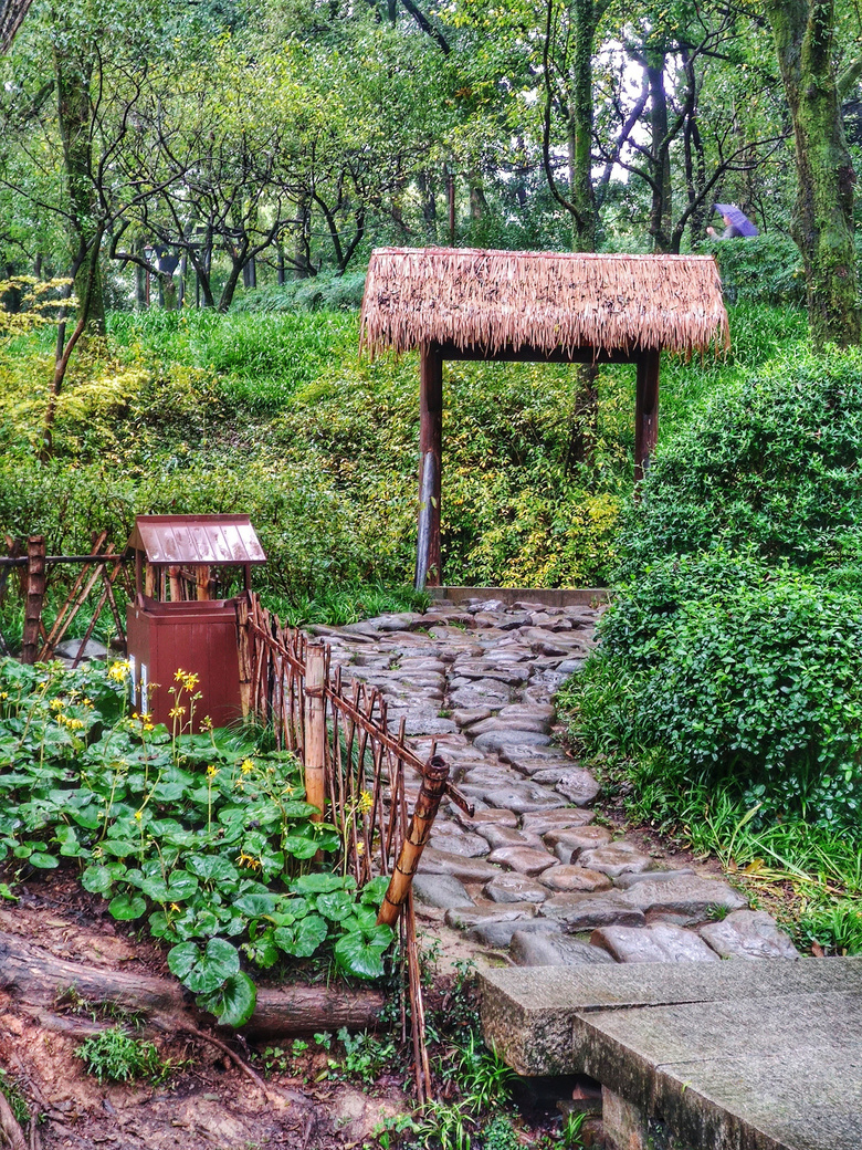 雨中随拍-19摄区-杭州19楼