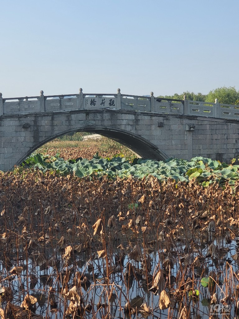 女征男～-离异征婚-杭州19楼