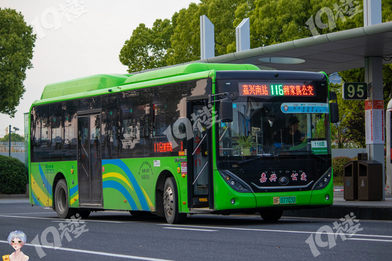 关于116路临时取消停靠站点的通告-讲空头-嘉兴19楼