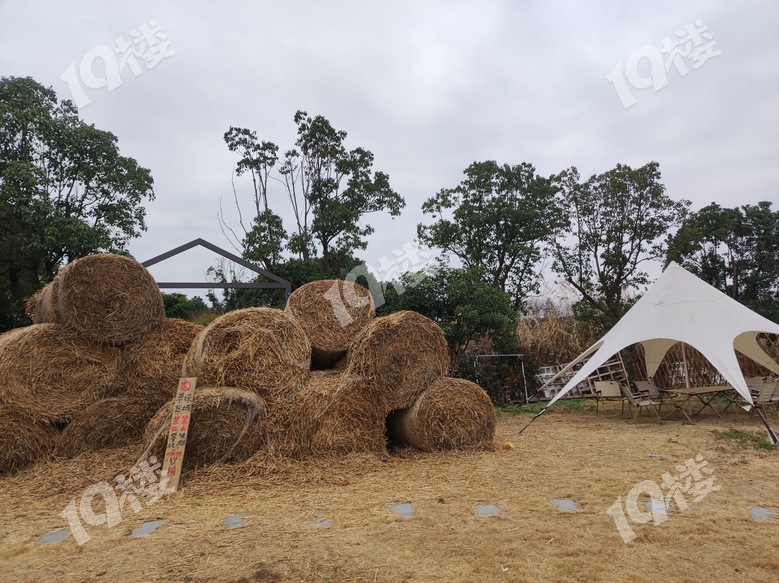 乡村里的冬至日-讲空头-嘉兴19楼