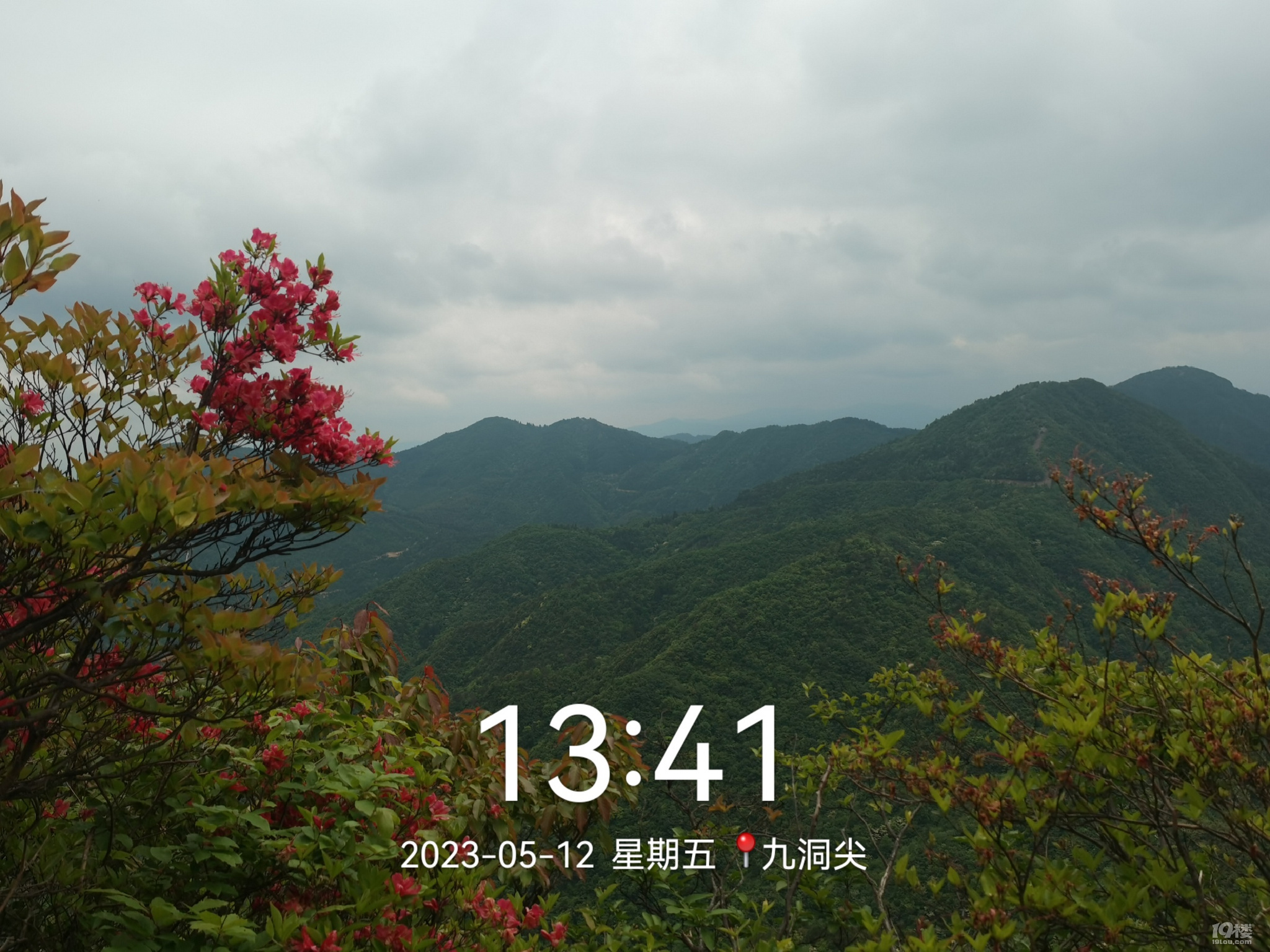 纺车岩看云海雾凇九洞尖赏云锦杜鹃-盆化寮跑马坪纺车岩往返徒步-台州旅游-台州19楼