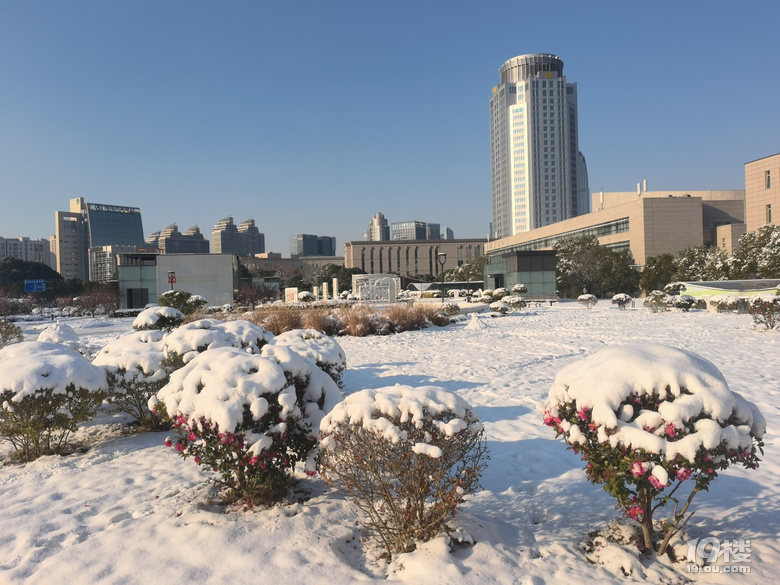30多年3场大雪——台州雪景可遇而不可求-讲白搭-台州19楼