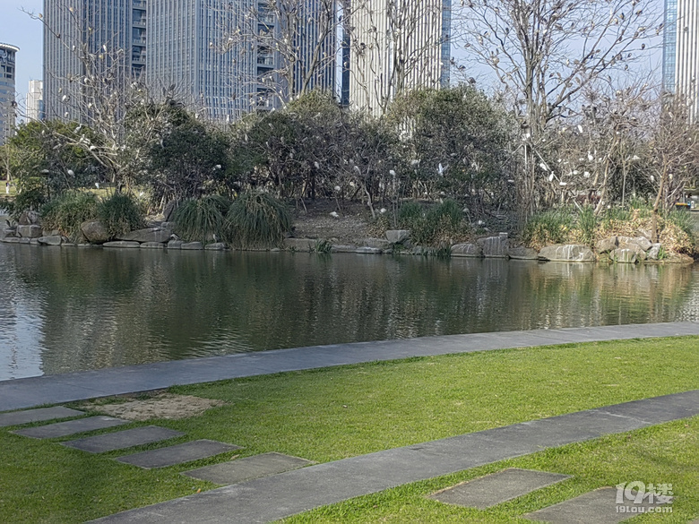 【三月带娃】来和合公园看大天鹅-孩爸妈聊天室-台州19楼