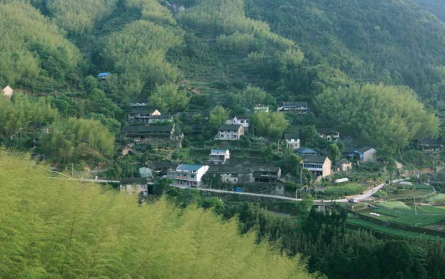 Country Walk！秋天，是时候来黄岩“村游”了～-台州旅游-台州19楼